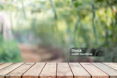 빈 나무 테이블 상단과 농업 농장 배경에 흐린 녹색 나무와 과일 야채 제품을 표시하거나 몽타주에 사용할 수 있습니다 0명에 대한 스톡 사진 및 기타 이미지 Istock