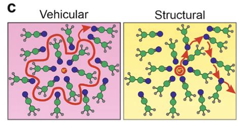 The Apotheosis Of 2d Infrared Spectroscopy