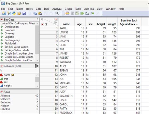 How To Get Column Sum According To Same Column Values Jmp User Community