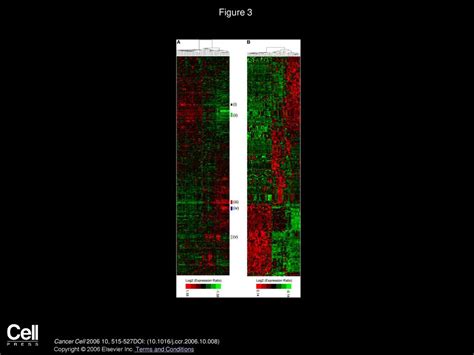 Volume Issue Pages December Ppt Download