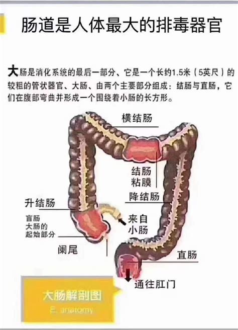 什么样的痔疮需要手术治疗？ 京东健康