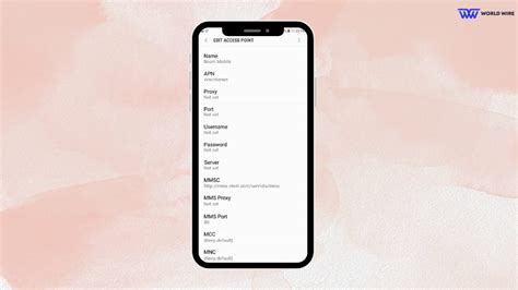 Boom Mobile APN Settings World Wire
