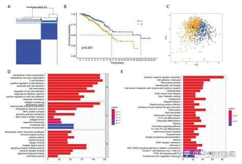 8：特定免疫细胞类群分析角度来袭 知乎