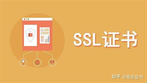 通配符ssl证书的签发时间需要多久？ 知乎