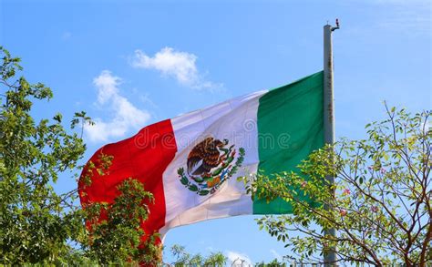 The Flag Of The Mexican States Stock Image Image Of Mexican Unesco