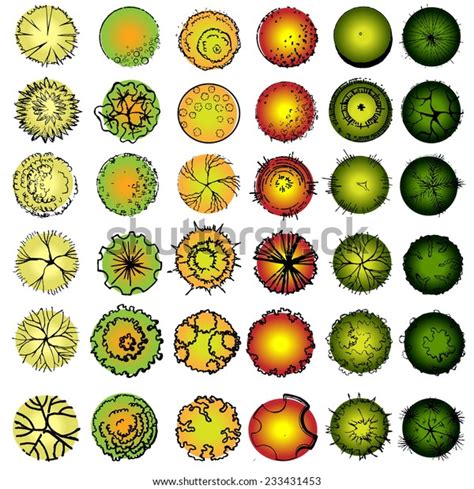 Tree Plan View Images Stock Photos D Objects Vectors Shutterstock