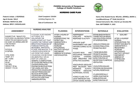 Ncp Template 2 1 Ncp Phinma University Of Pangasinan College Of Health Sciences Nursing Care