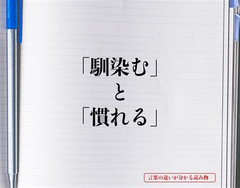 馴染むと慣れるの違いとは意味を詳しく解釈 言葉の違いが分かる読み物