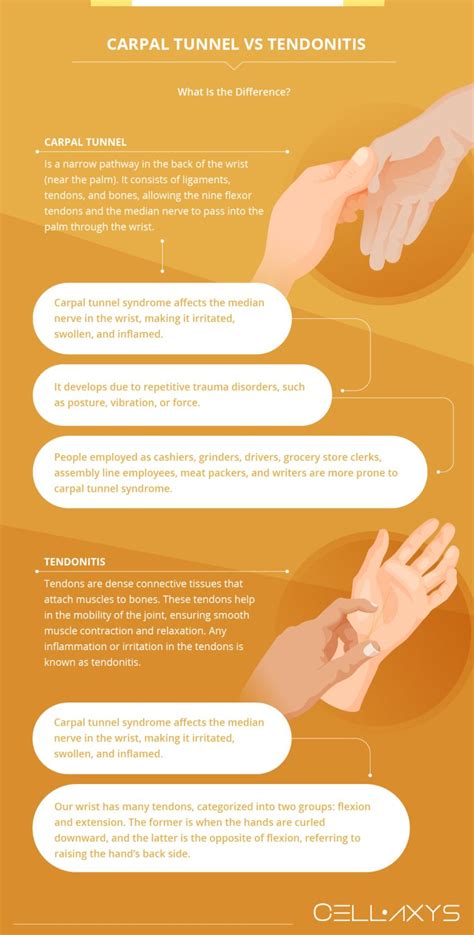Carpal Tunnel Vs Tendonitis What Is The Difference Cellaxys