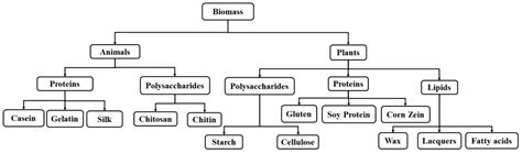 Polymers Classification Types Uses Properties