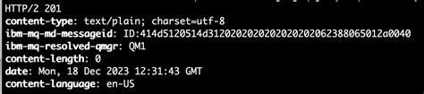 Get An Ibm Mq Queue For Development Running On Aws Cloud Using