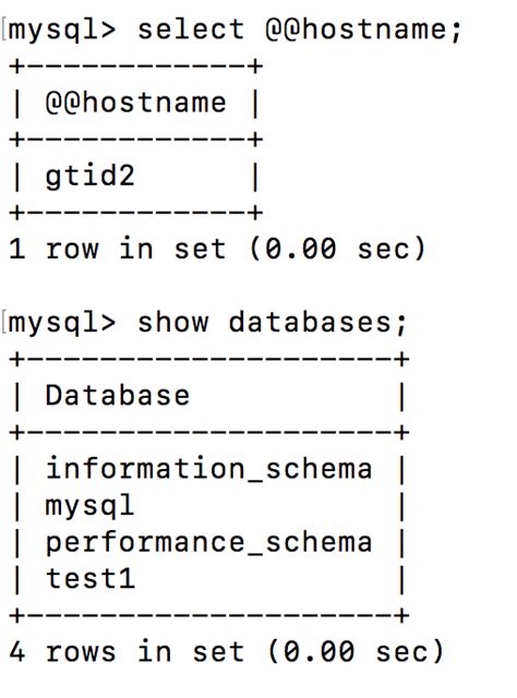 The Database Solution Mysql Gtid Replication