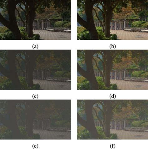 Figure 7 From Luminance Enhancement And Detail Preservation Of Images And Videos Adapted To