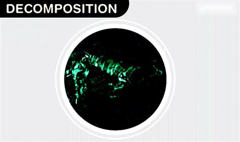 Understanding The Decomposition Process Types Chemical Reactions