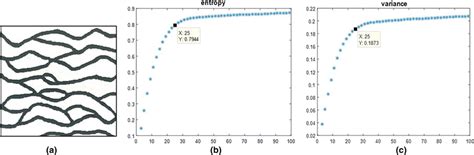 finding the optimal template size a a training image b mean entropy