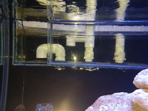 Internal Or External Overflow Box Reef2reef