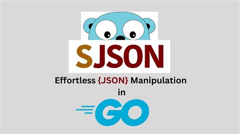 Master Json Editing In Go Add Modify And Delete Json With Sjson Youtube