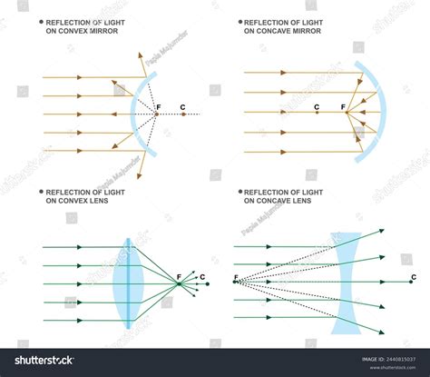 73 Concave Mirror Converging Image Stock Vectors And Vector Art Shutterstock