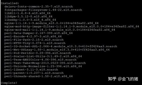 前端Vue项目打包部署实战教程 知乎