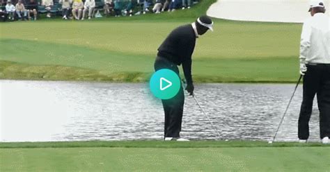 Vijay Singh Skips A Ball Off The Pond And Makes A Hole In One  On Imgur
