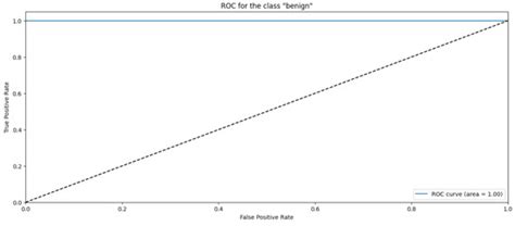 Machine Learning Based Dos Amplification Attack Detection Against Constrained Application Protocol