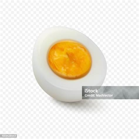 벡터 3d 현실적인 닭고기 달걀입니다 껍질을 벗긴 삶은 닭고기 달걀 노른자 클로즈업이 분리된 삶은 닭고기 달걀 반으로 자른 것 앞 옆모습 달걀에 대한 스톡 벡터 아트 및