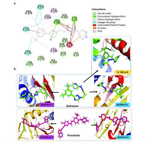 In Silico Molecular Docking Of Small Molecules Against Upregulated Download Scientific
