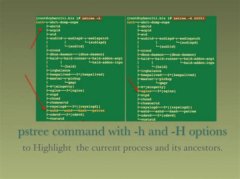 Linuxunix Pstree Command Examples See A Tree Of Processes Network And Cybersecurity