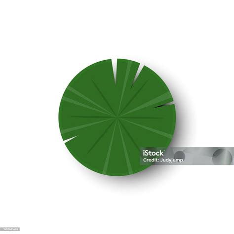 Lily Pad Logo Design Lily Pad Icon Lily Cartoon Vector On White