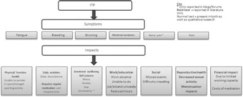Conceptual Model Of The Immune Thrombocytopenia Itp Disease