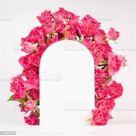 봄 분홍색 꽃 화장품 상품 광고 디자인 사각형 클로즈업을 보여주기위한 추상적 인 흰색 무대 모형에 아치의 프레임으로 장미 신선한 부드러운 꽃 낭만적 인 배경 잎에 대한 스톡