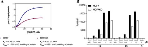 A Saturation Binding Assay On Mcf7 And Mcf7ko Silenced In Tmem97σ 2