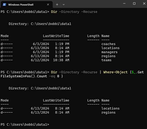 How To Remove All Empty Folders In Powershell With Example