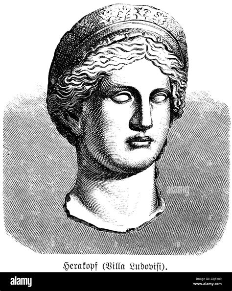 Head Of Hera Cut Out Stock Images And Pictures Alamy