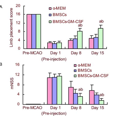 Functional Recovery Enhanced By Intracerebral Transplantation Of