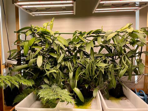 The Niche Comfortable Place To Sip Coffee Dream… By Dr John