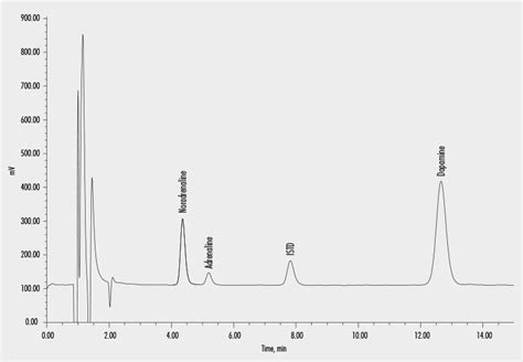 Catecholamines In Urine Hplc