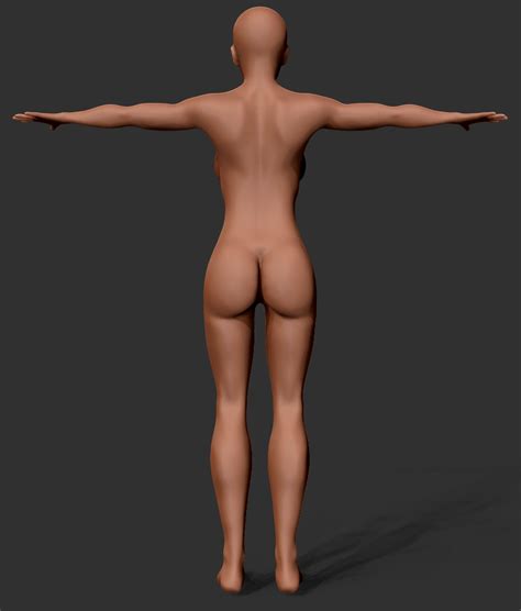 Human Anatomy Study ZBrushCentral