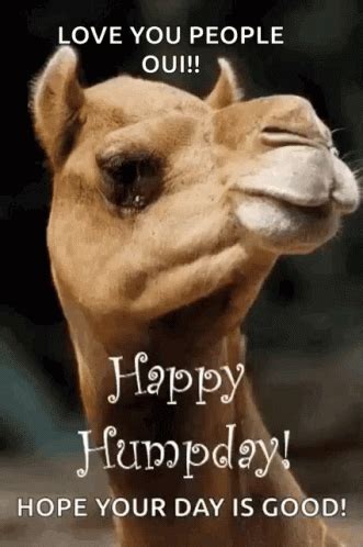 Wednesday Morning Funny S