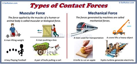Types Of Forces In Physics With Examples Selftution