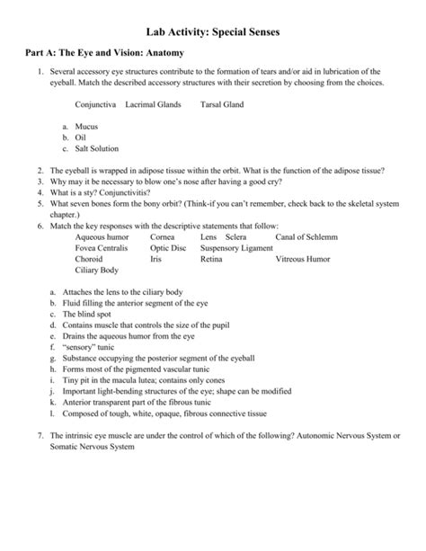 Eye Anatomy And Vision Lab Activity
