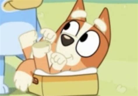 Pin By Tana Langdeaux On Bluey Bara Mario Characters Character