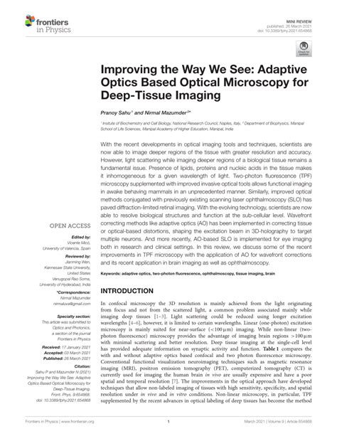 Pdf Improving The Way We See Adaptive Optics Based Optical Microscopy For Deep Tissue Imaging