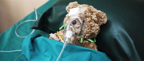 Are You Solving The Right Problem • Derek Cheshire