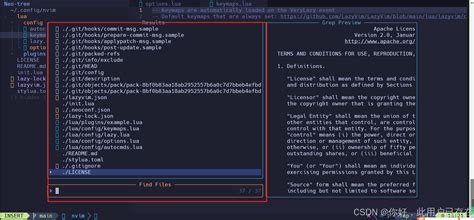 Lazyvim快速安装与入门使用 Csdn博客