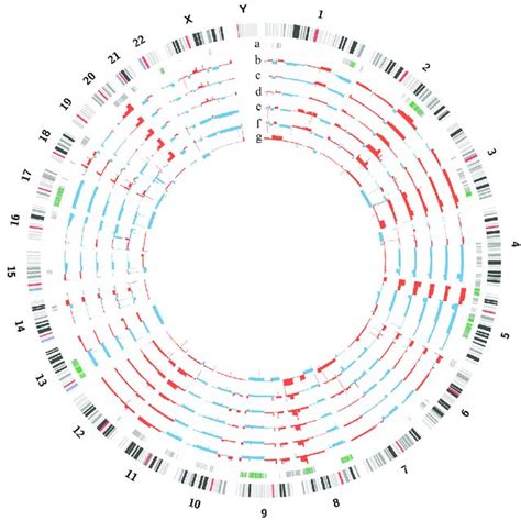 Genomic Profiles Of Somatic Copy Number Alterations Scna A Common Download Scientific