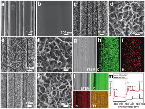 Morphological Characterizations Low And High Magnification Sem Images Download Scientific