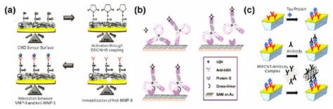 Propagating Surface Plasmon Resonance Pspr Based Immunosensors For