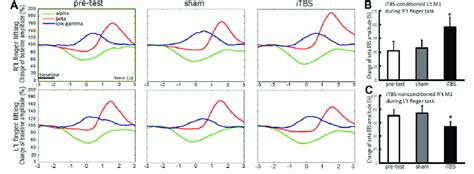 temporal cortical oscillations at primary sensorimotor cortex during