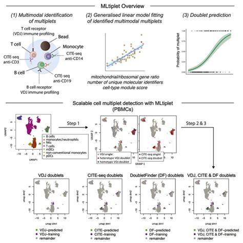 Double Jeopardy Scrna Seq Doubletmultiplet Detection Using Multi Omic